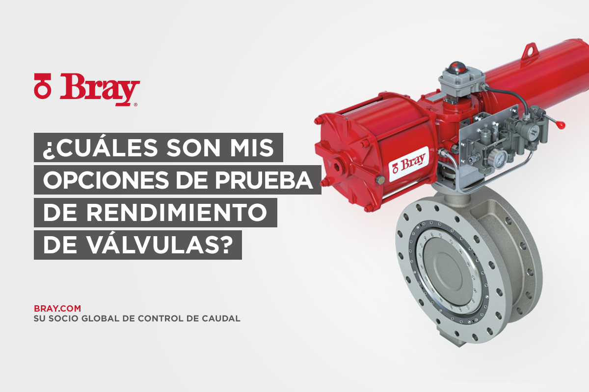 Bray International, Inc.