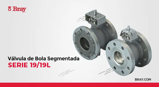 Vista Detallada de la válvula de bola de control segmentada S19L | Bray