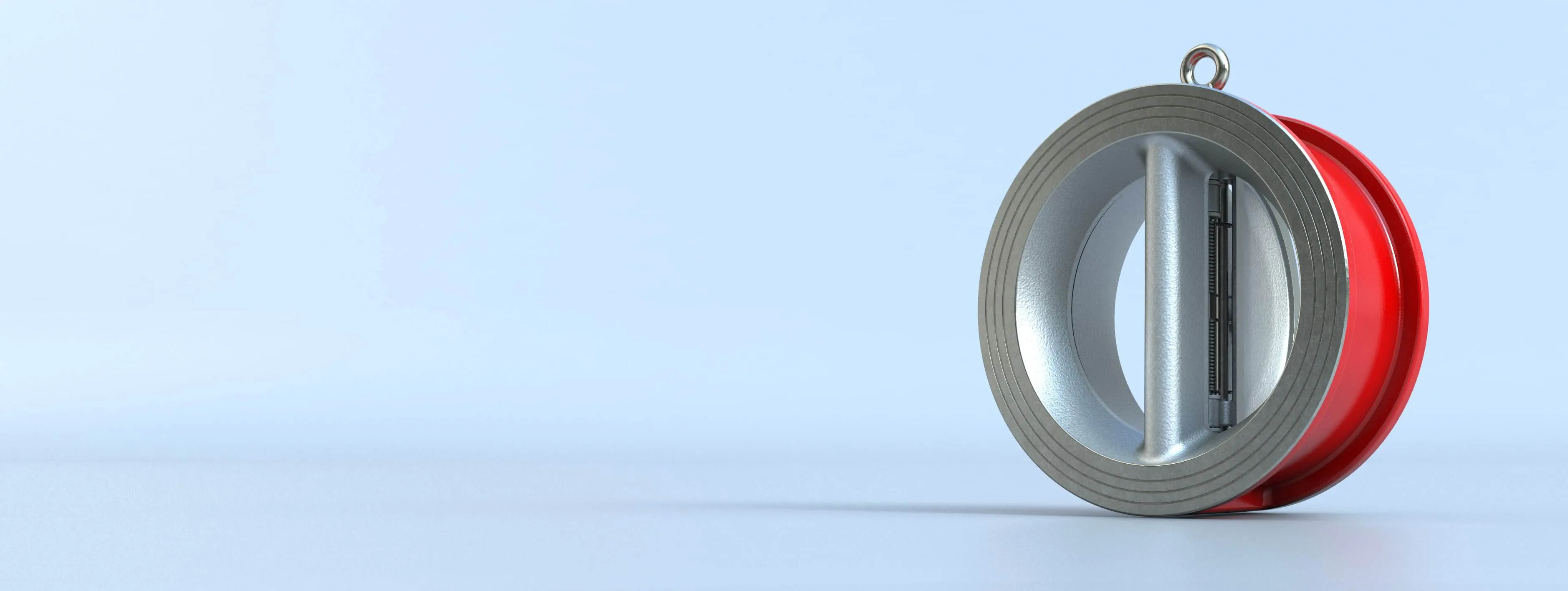 Check Valves: Double Door Check Valves | Bray