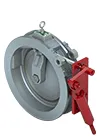 Check Valve: Wafer Combination Swing Check Valve | Bray