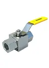 Ball Valves: Series S70-S90 Threaded Ball Valves | Bray