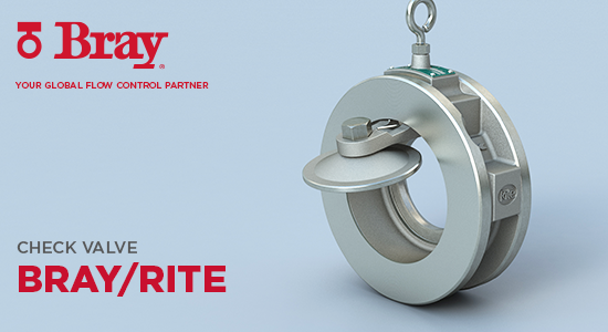 Check Valves: Wafer Combination Swing Check Valves | Bray